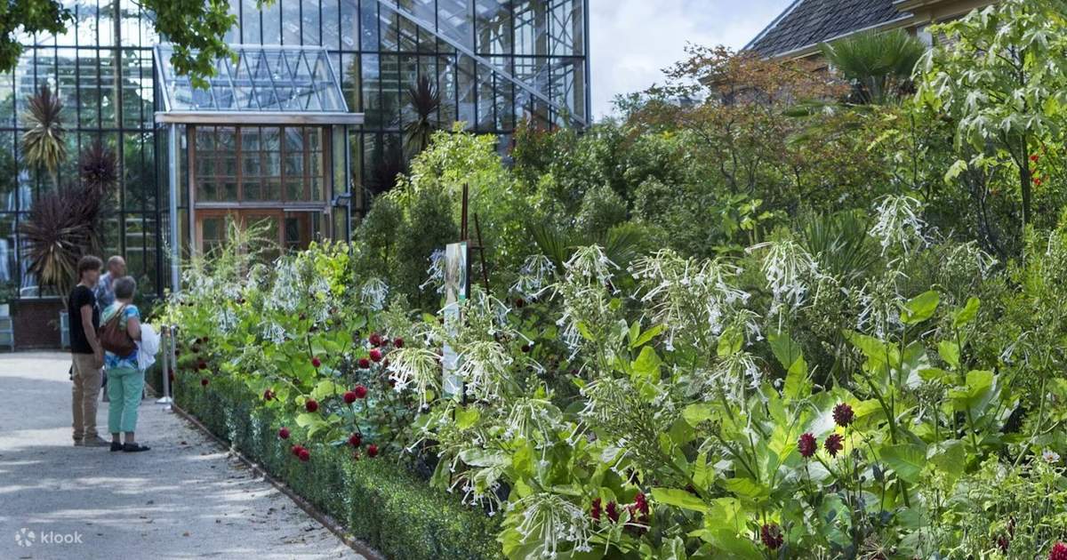 Hortus Botanicus Leiden Ticket - Klook